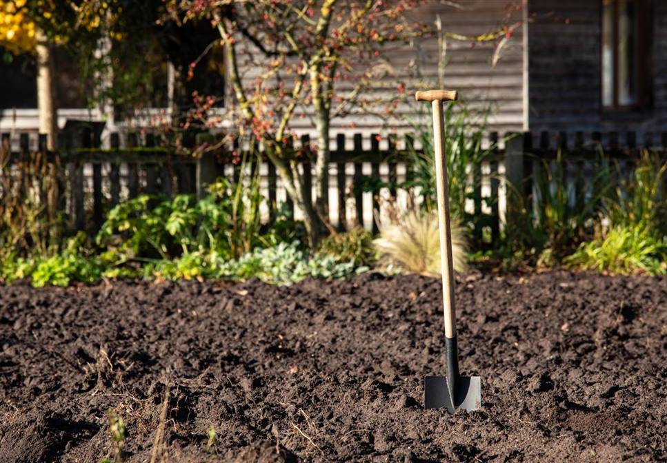 Mit diesen Tipps können Sie Ihren Gartenboden verbessern