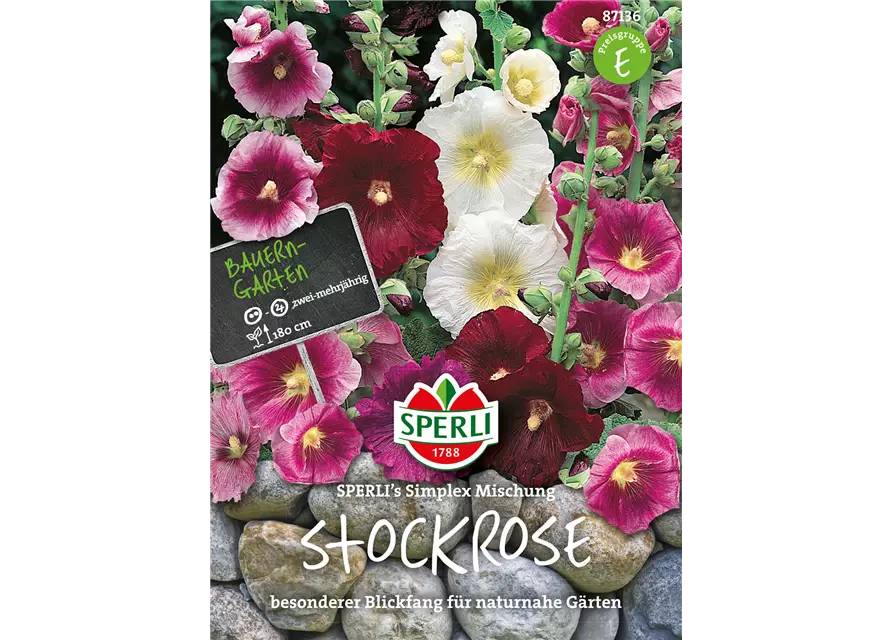 Einfachblühende Stockrose 'Simplex', Alcea rosea 'Simplex'