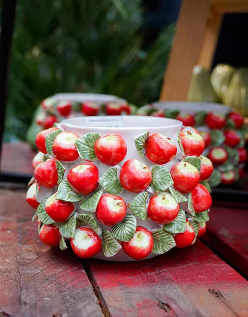 Obstvase mit Äpfel, Des Pots